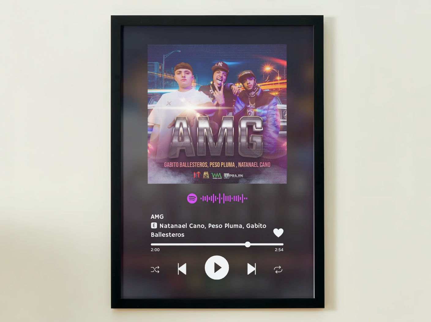 AMG – Album Gallery Store